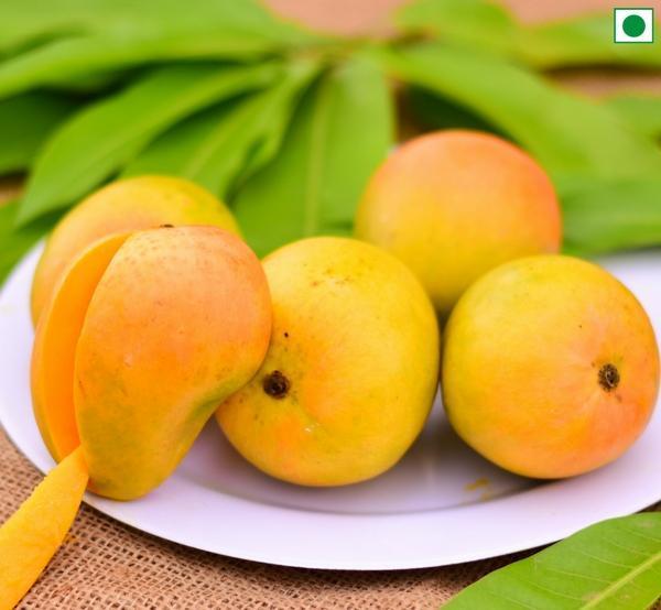 Alphonso Mango | Tredy Foods